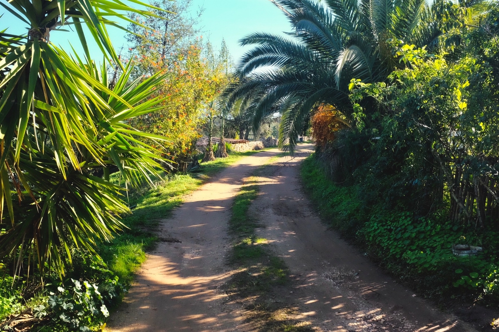 The best campsites in Portugal