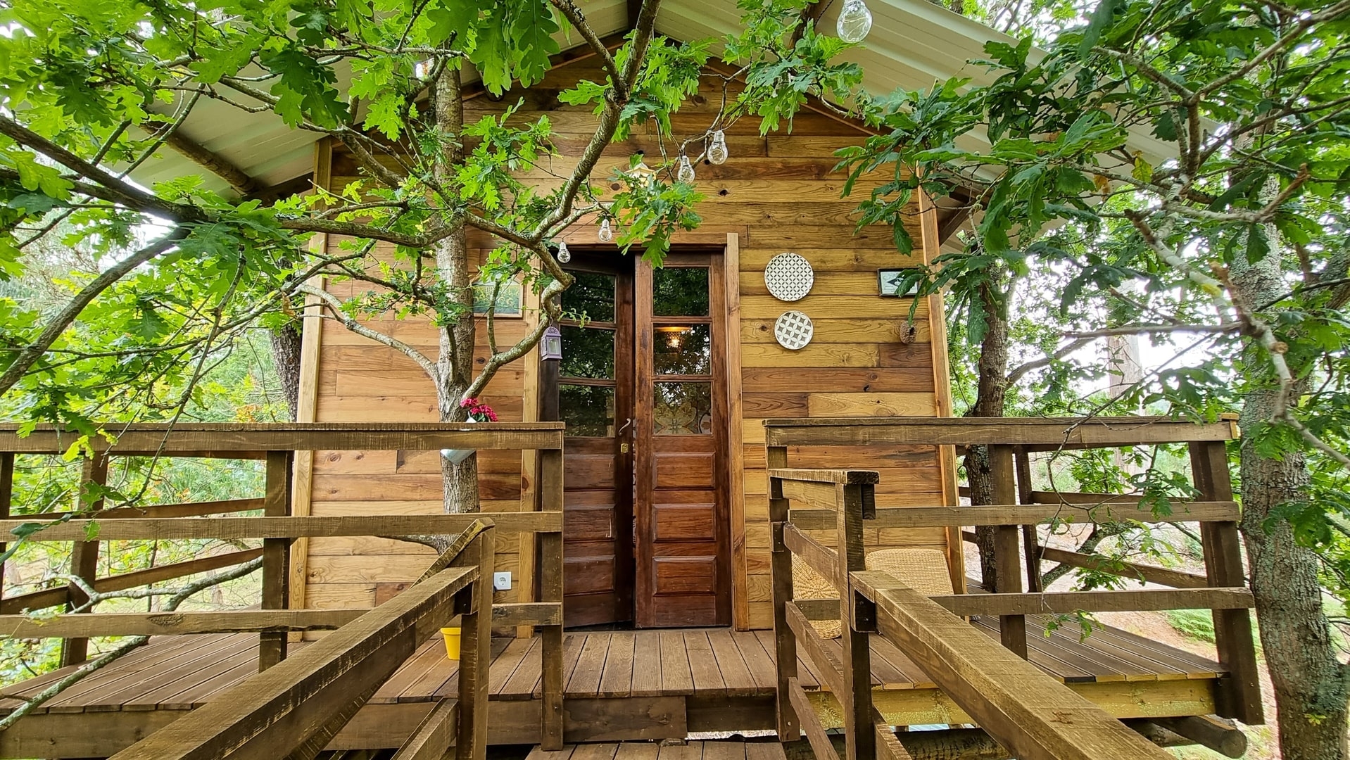 Plan a treehouse stay in Europe