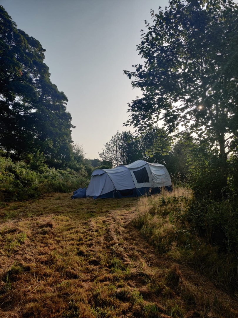 In the garden of an old Vosges farm