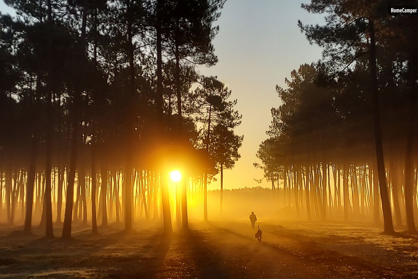 Private land in Mimizan, New Aquitaine ∞ Campercontact