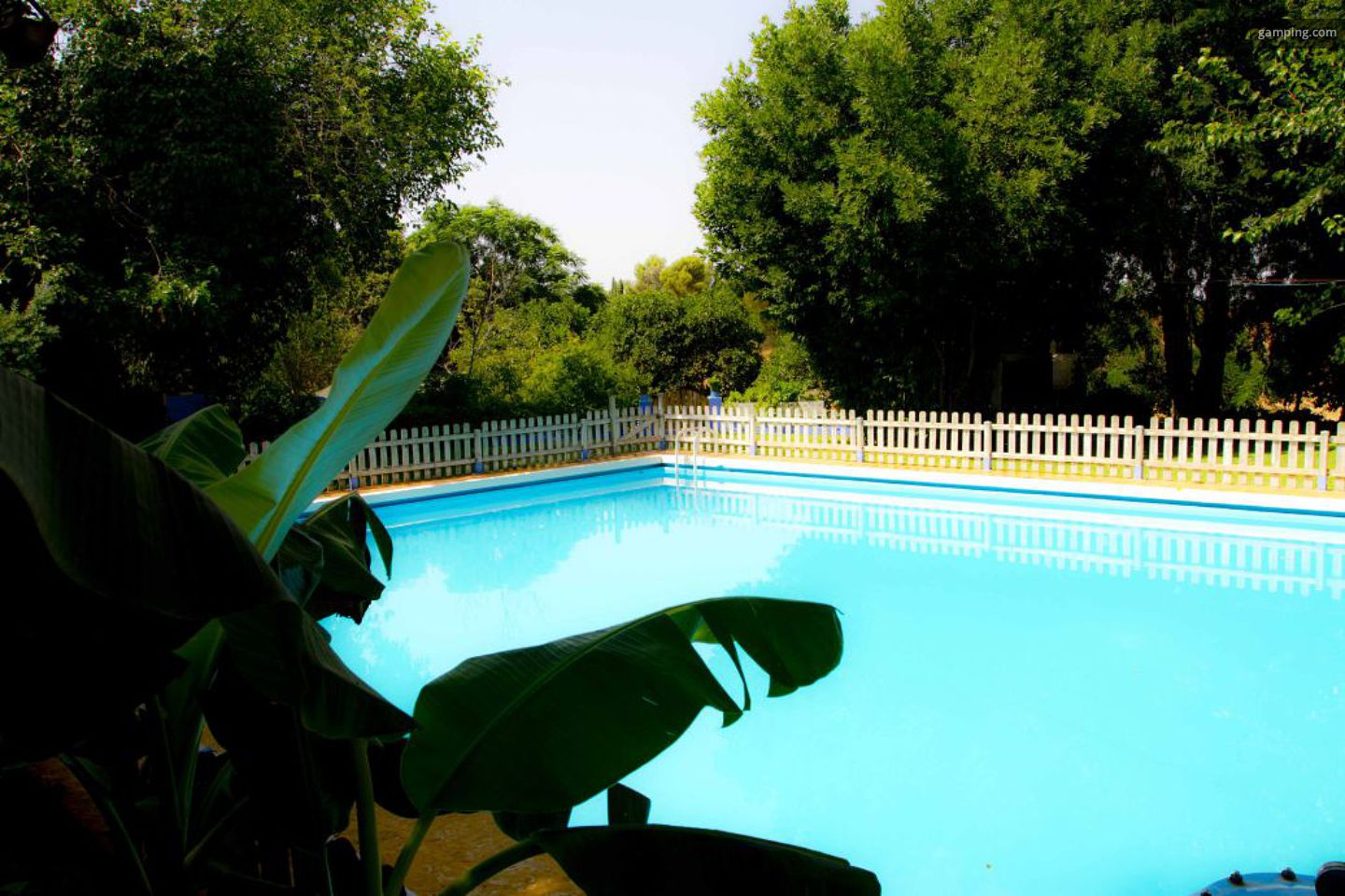 20 km from Sevilla, in the heart of the andalusian countryside ∞ ...