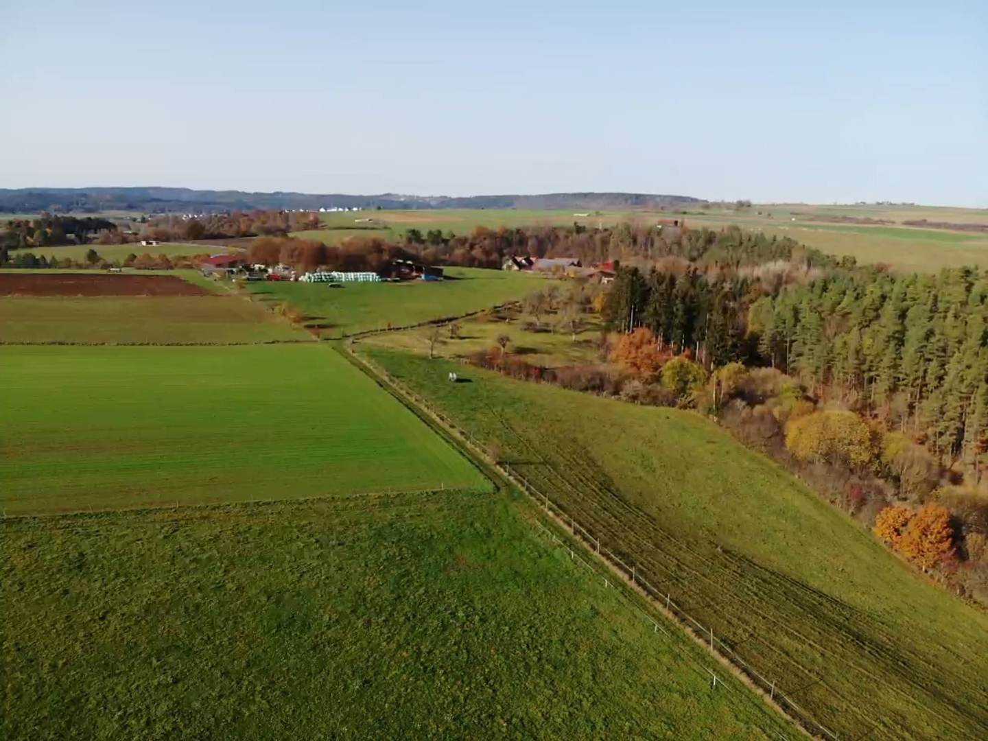 BIO Meadow Pitch Organic