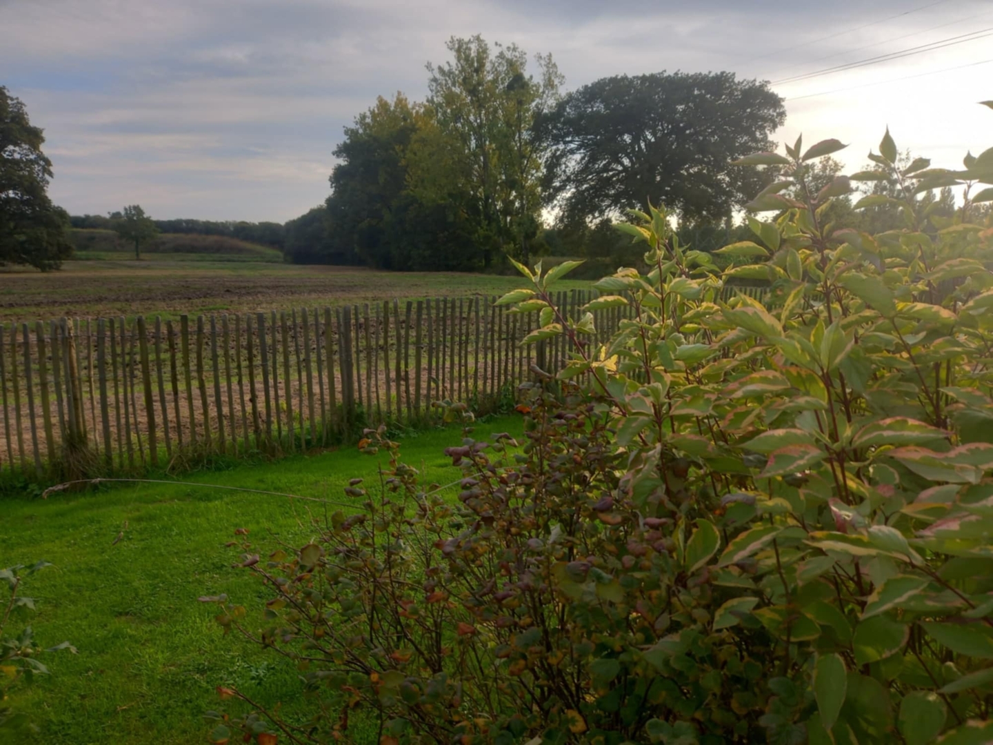 The key to the fields, a country night in Domloup ∞ Campercontact