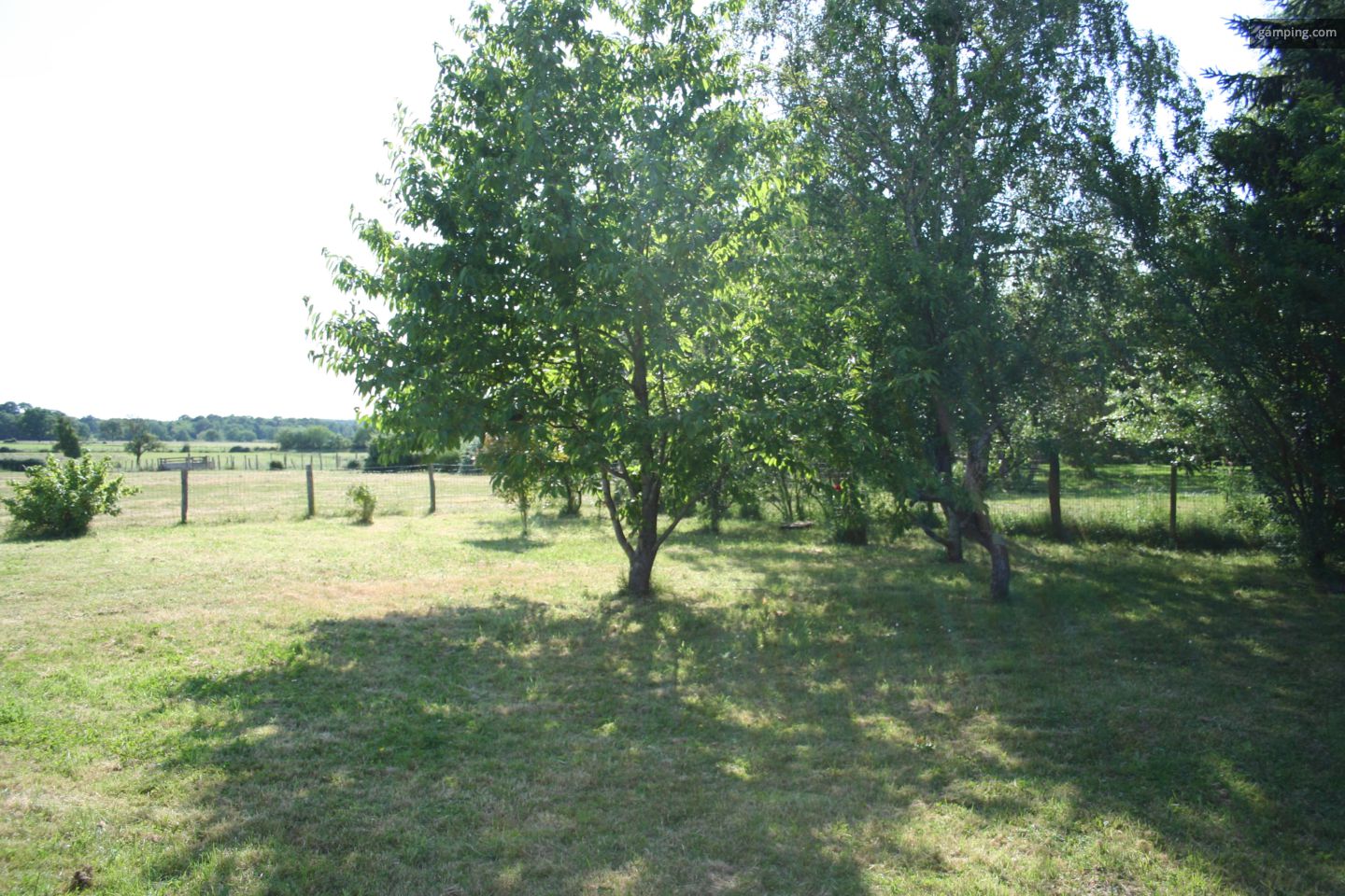 Campspace in Venouse, Burgundy-Franche-Comté