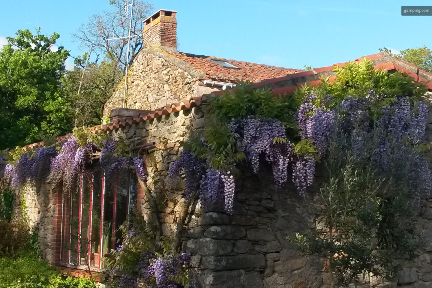 Camping with a biker in Fougeré: Experience the adventure in Pays de la ...
