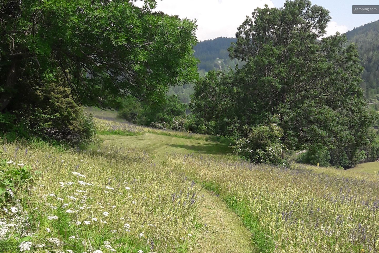 Campspace in SAINT DALMAS LE SELVAGE, Provence-Alpes-Côte d’Azur ∞ ...