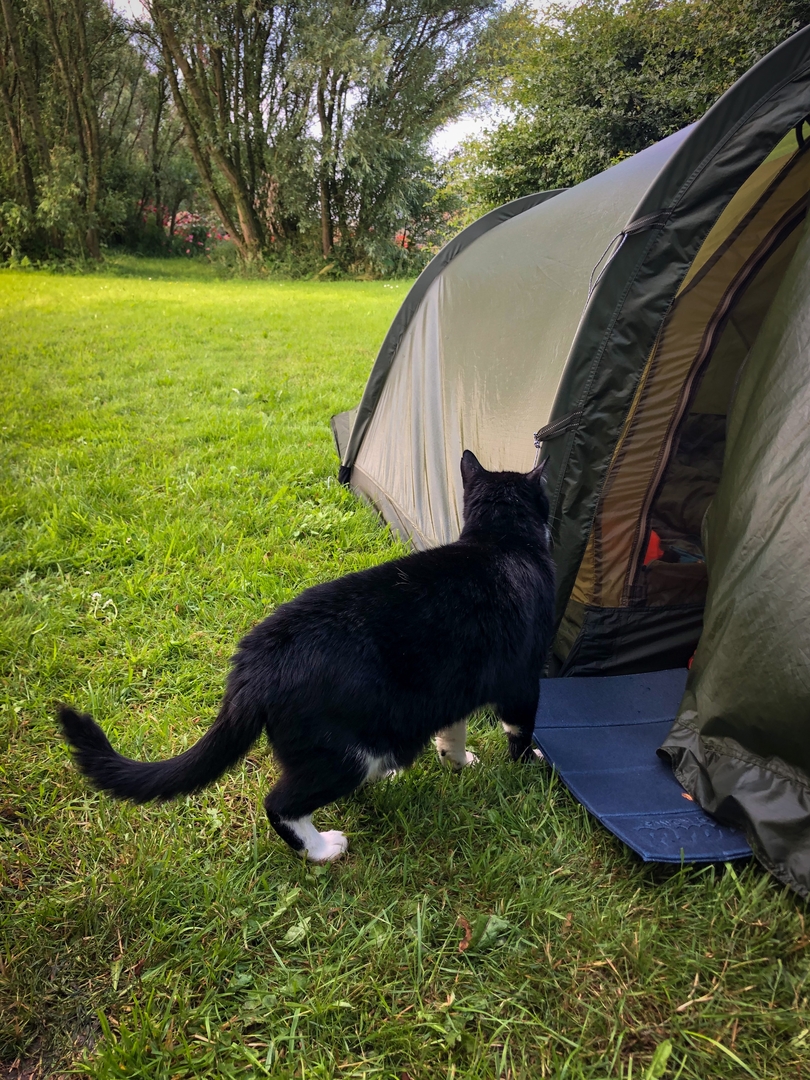 Mini camping near the coast in Callantsoog ∞ Campercontact
