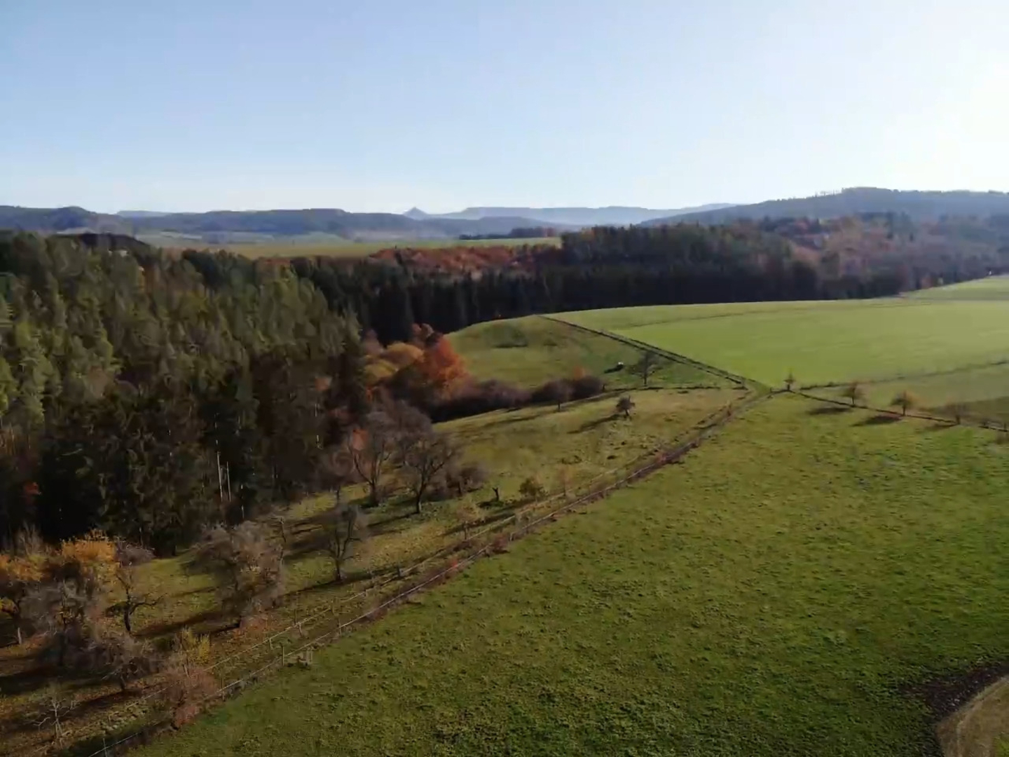 BIO Meadow Pitch Organic