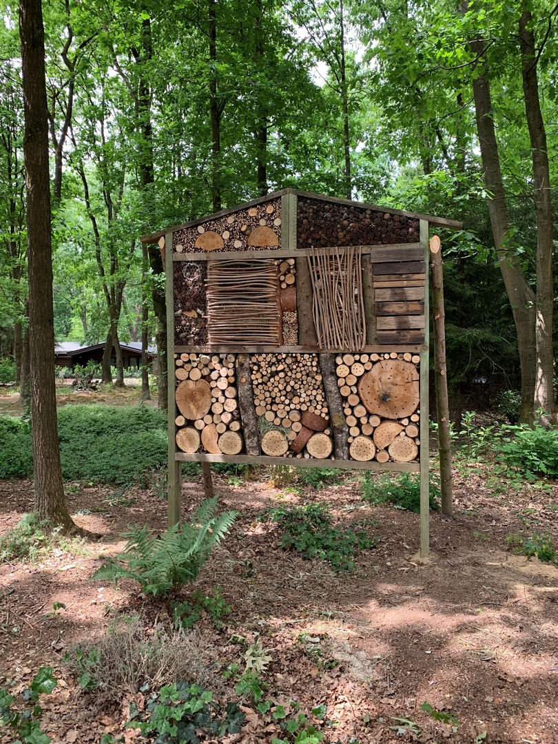 Off-grid camping in Belgian Limburg ∞ Campercontact