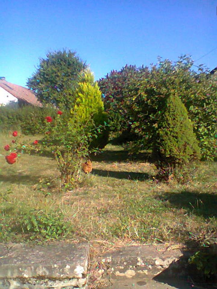 Campspace in Saxi-Bourdon, Burgundy-Franche-Comté ∞ Campercontact