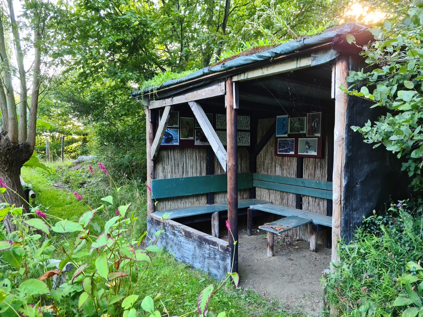Hart in de Polder, natuur, rust, yoga, ademwerk en meer