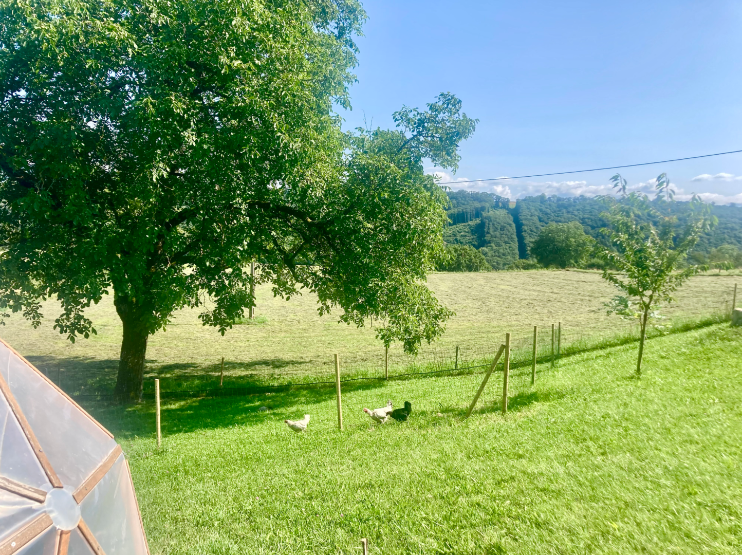 Quiet private land nestled among the largest lakes in Savoie ∞ ...