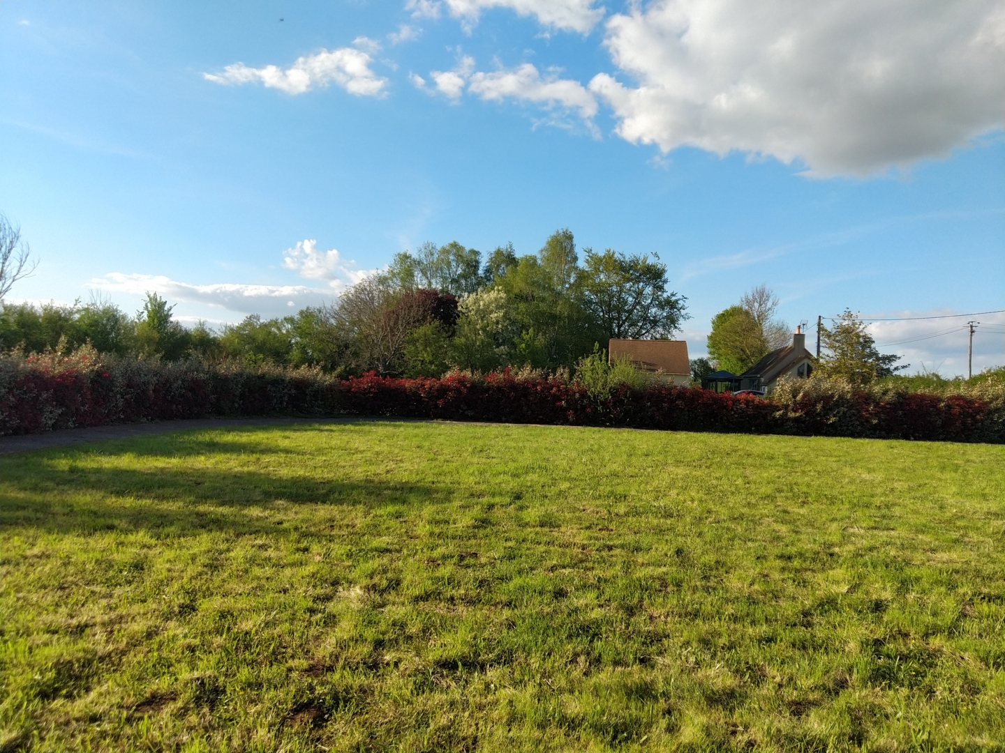 Feet on the ground, nose in the hedges, head in the stars! ∞ Campercontact