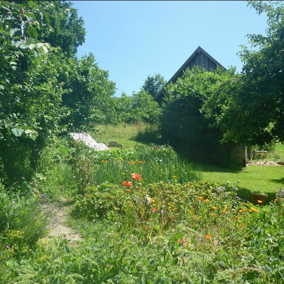 Natural paradise Gampelmühle on the stream with hills, meadows and ...