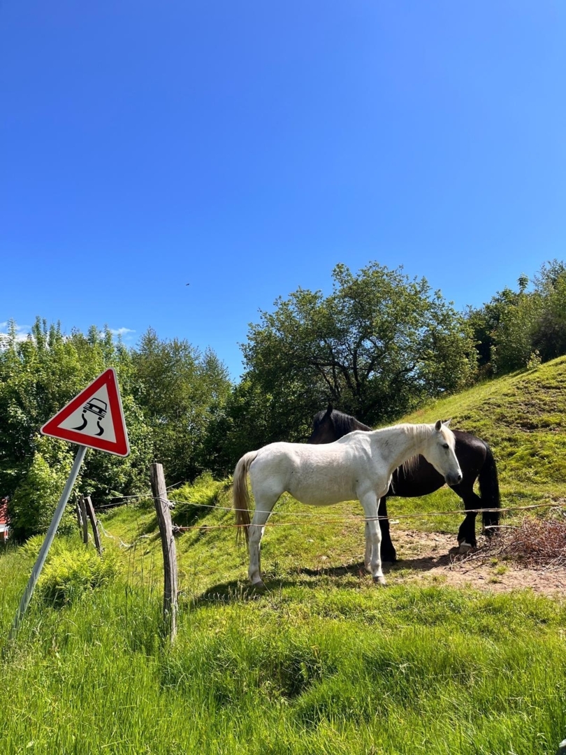 Wake up in a lake painting ∞ Campercontact