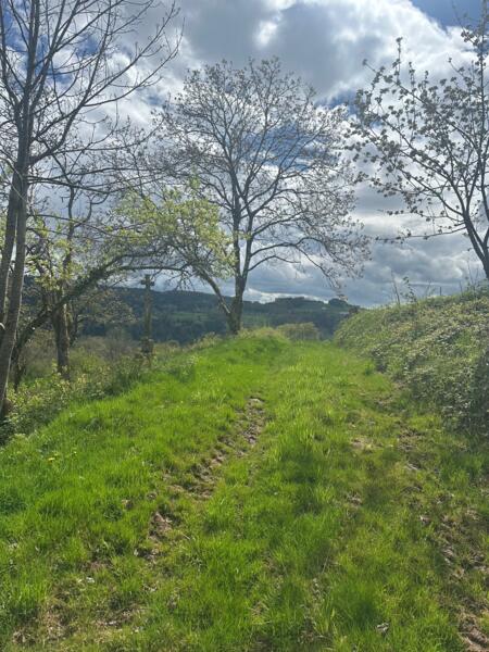 In the garden of an old Vosges farm